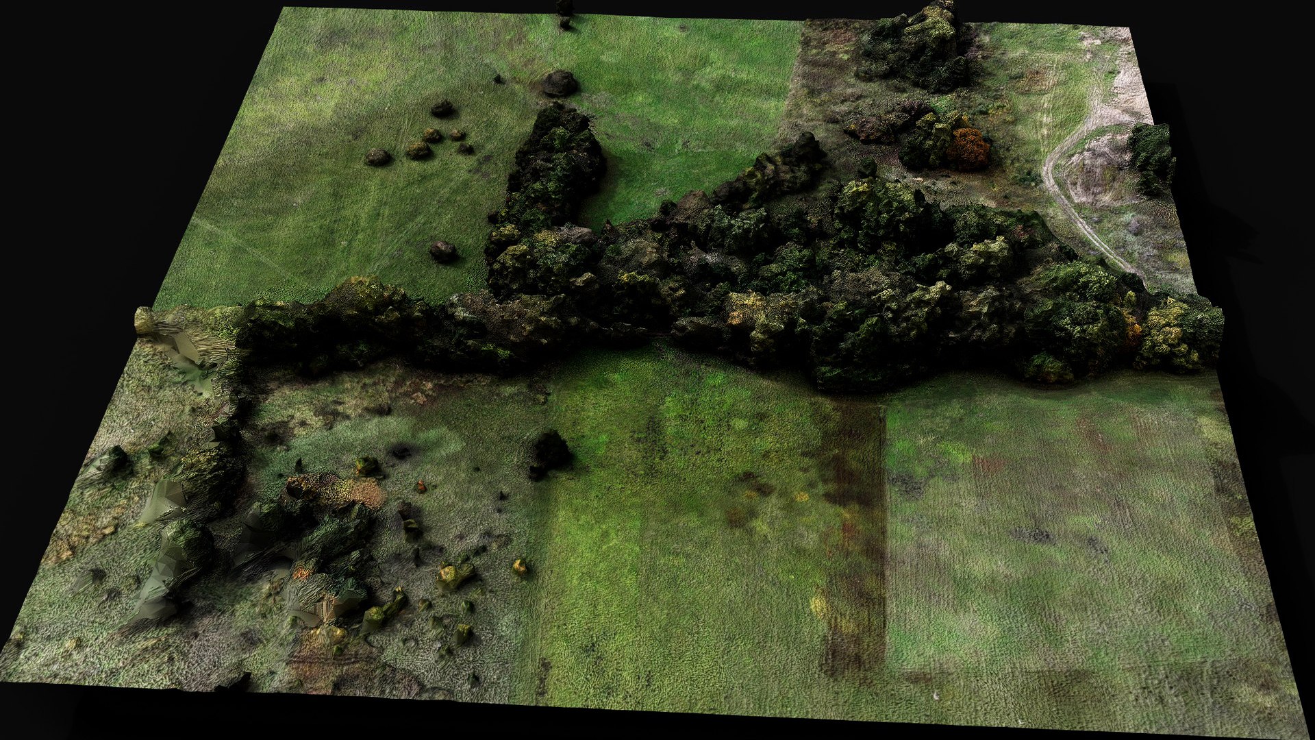 3D Forest Ground Trees Field Grass Terrain Part2 Aerial Dronescan Model ...