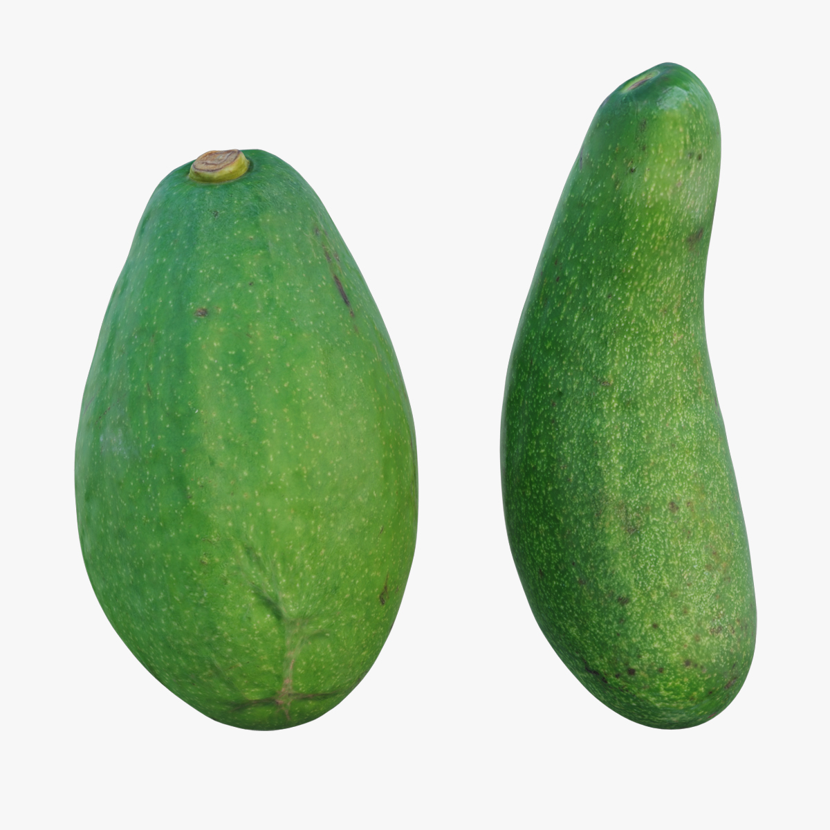 modelo 3d palta - TurboSquid 1899022