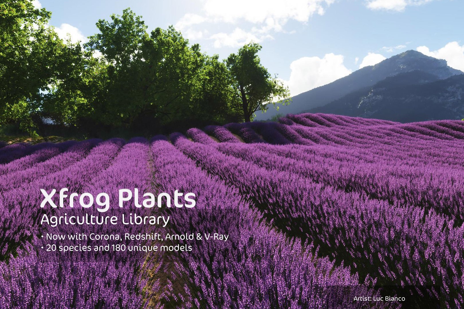 3d Agricultural Plants Xfrogplants Dvds Model
