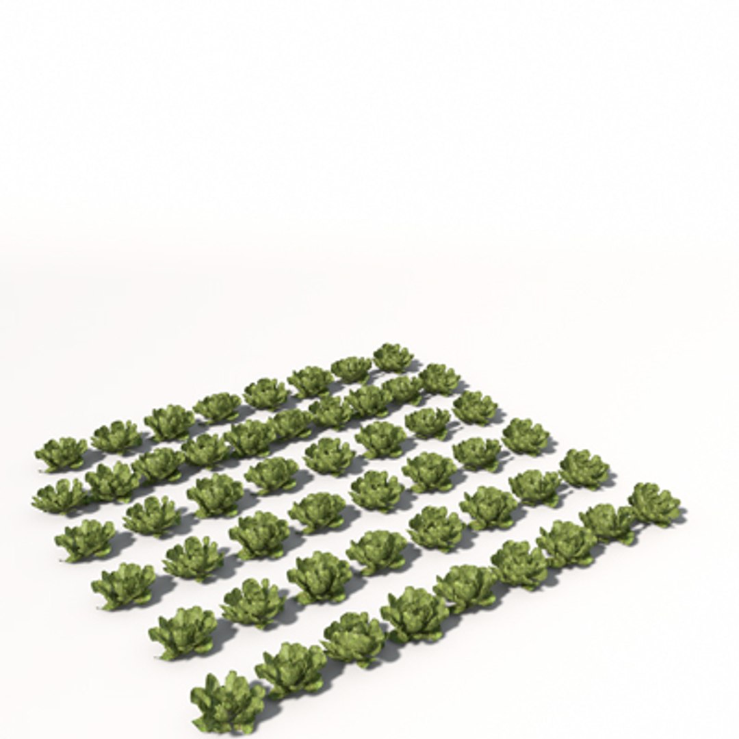 3d Agricultural Plants Xfrogplants Dvds Model