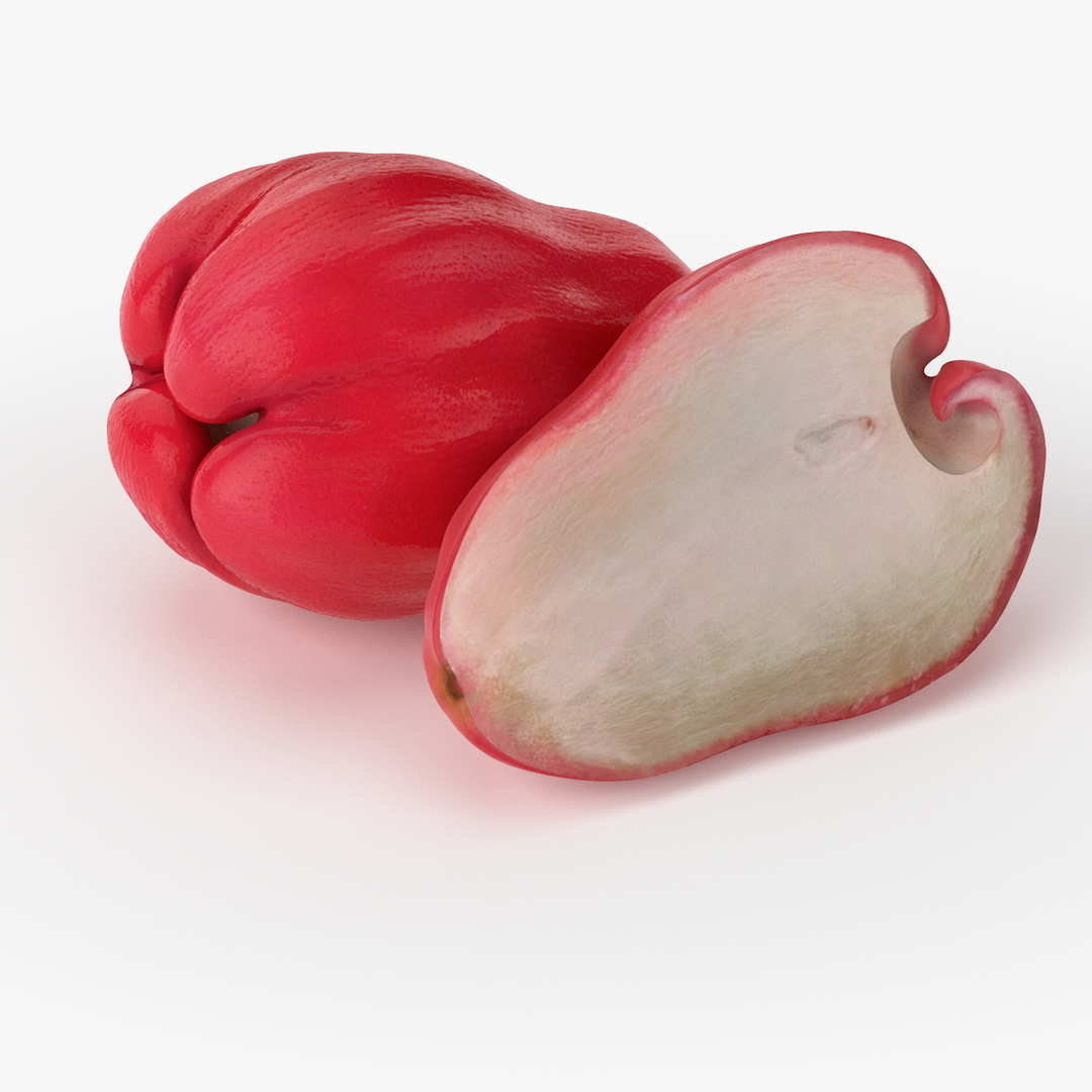 3d Model Of Realistic Chompu Fruit Real