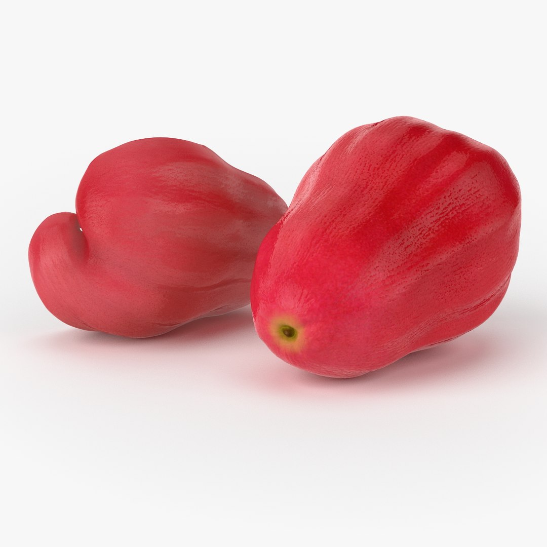 3d Model Of Realistic Chompu Fruit Real