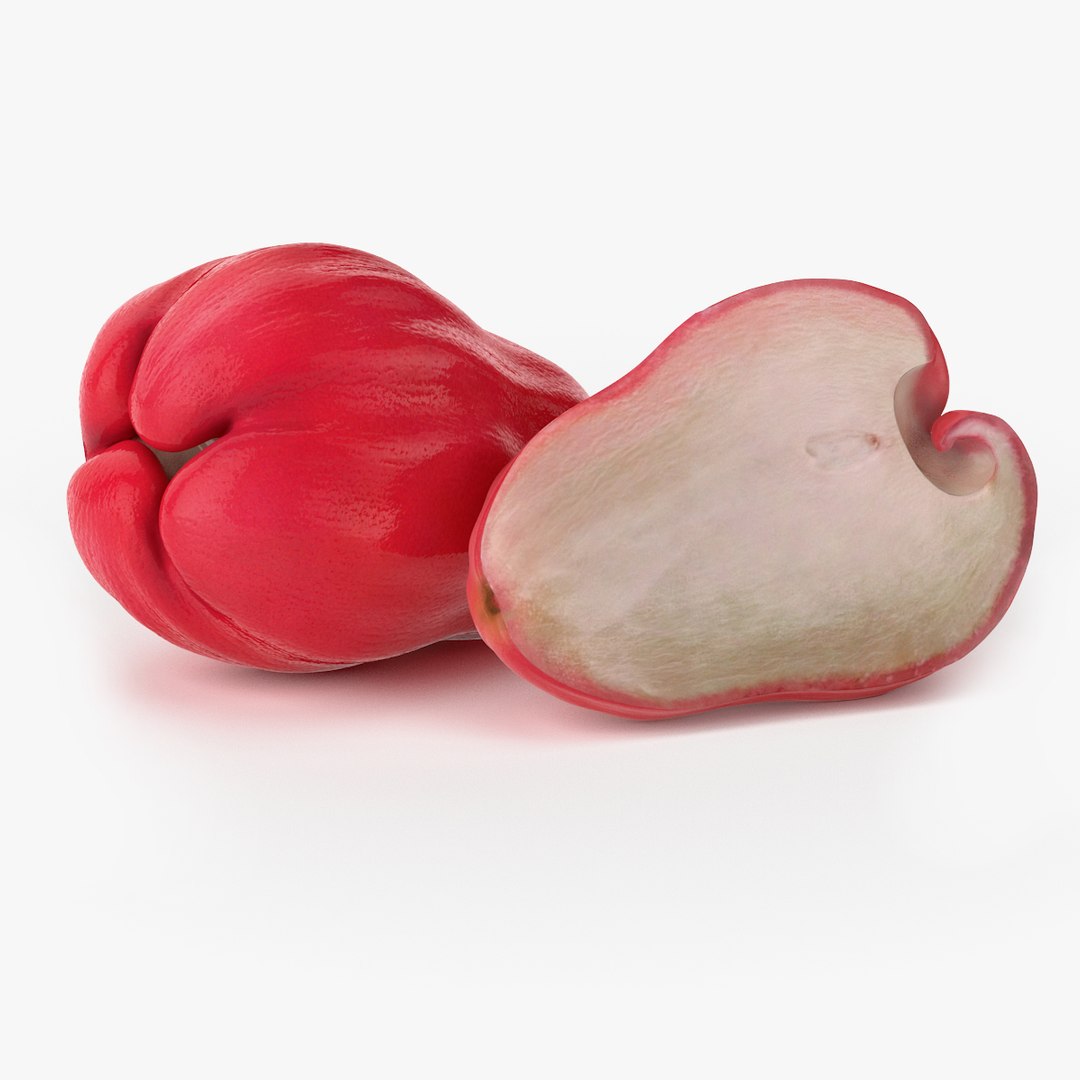 3d Model Of Realistic Chompu Fruit Real