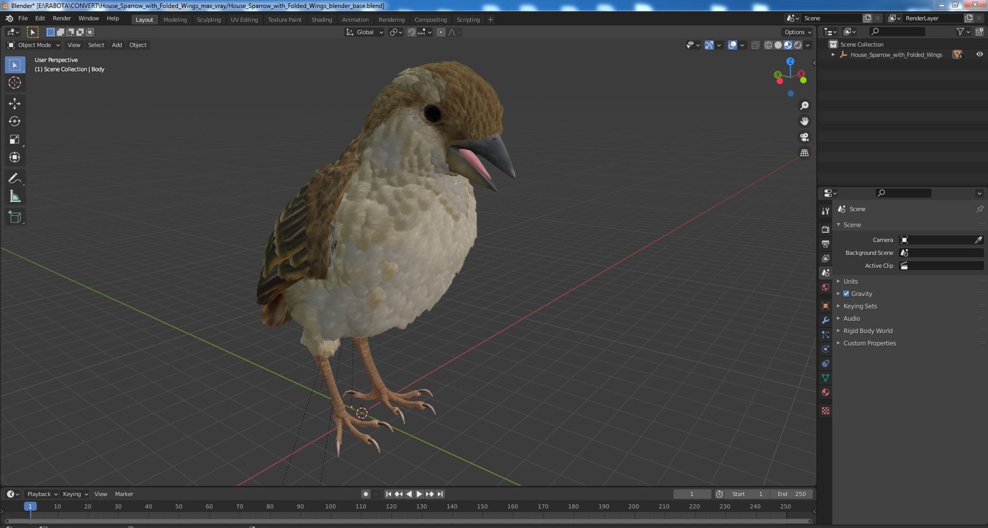 House Sparrow With Folded Wings Model - TurboSquid 2149412