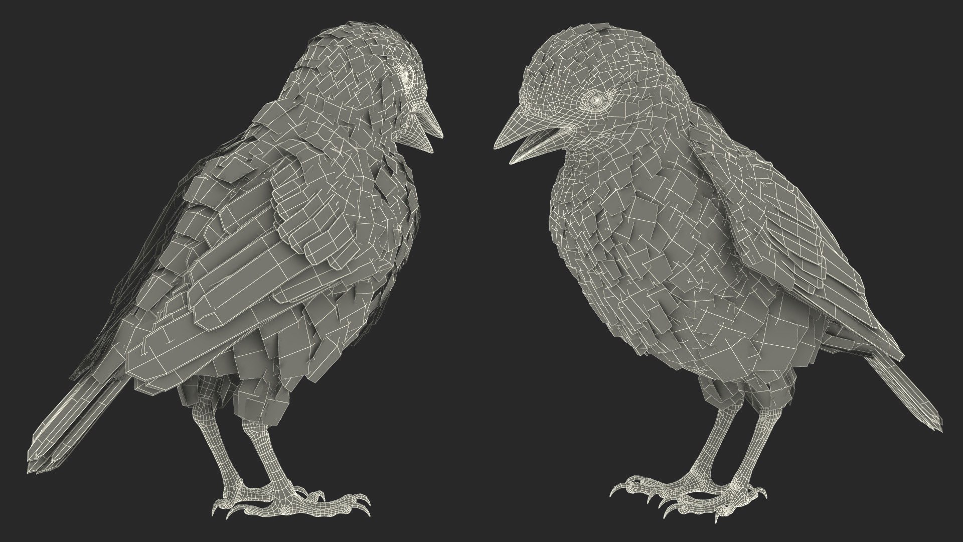 House Sparrow With Folded Wings Model - TurboSquid 2149412