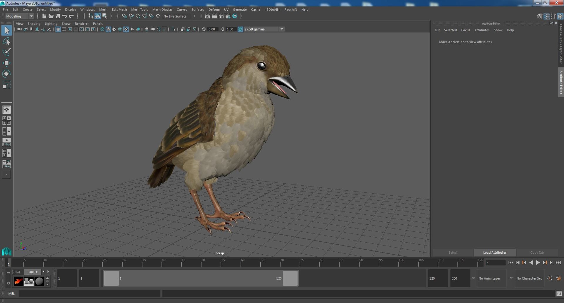 House Sparrow With Folded Wings Model - TurboSquid 2149412