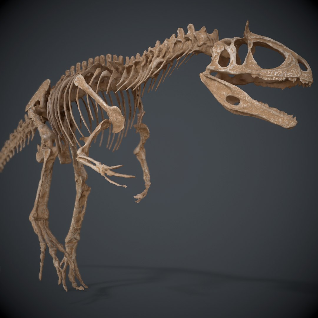 Allosaur Skeleton 3d Obj