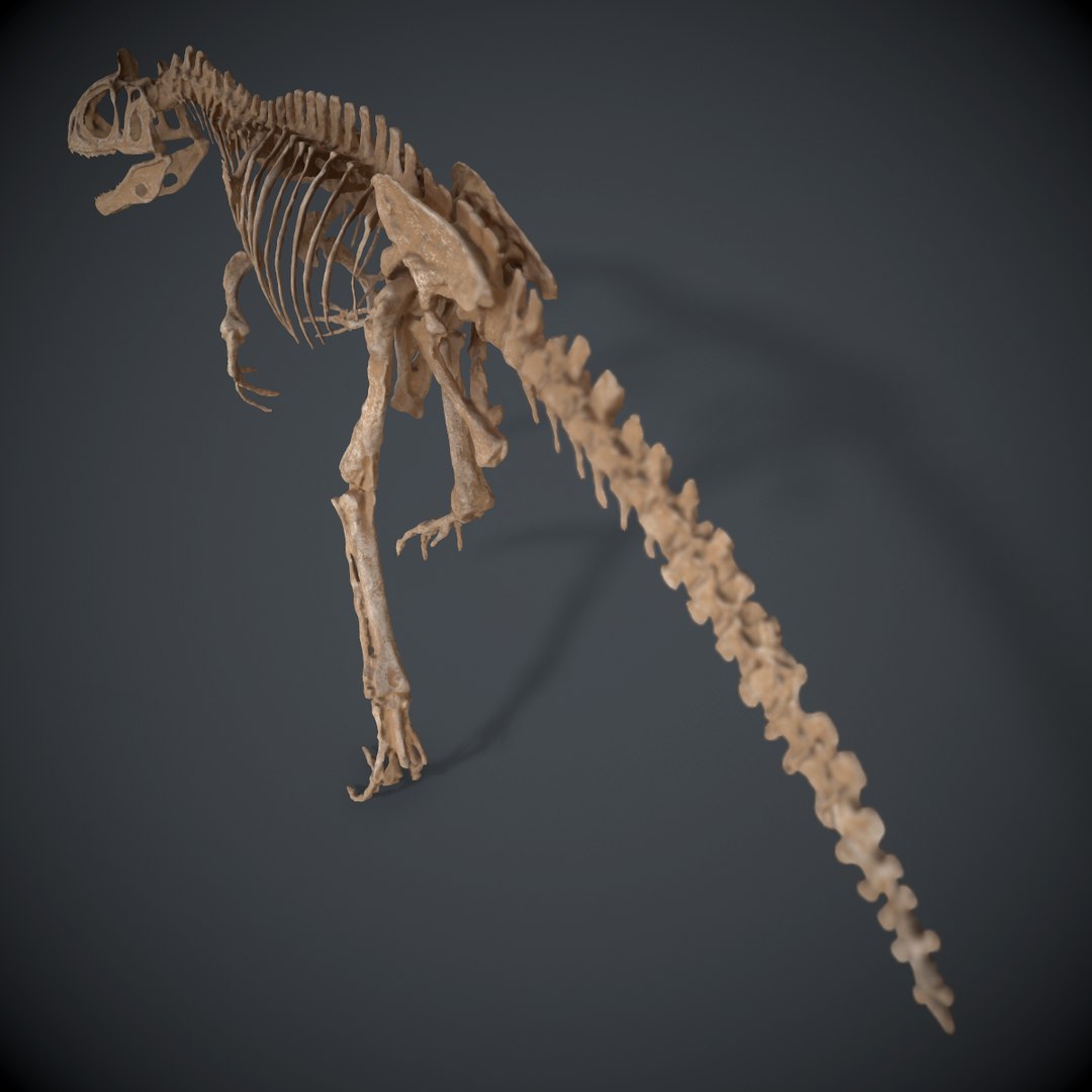 Allosaur Skeleton 3d Obj