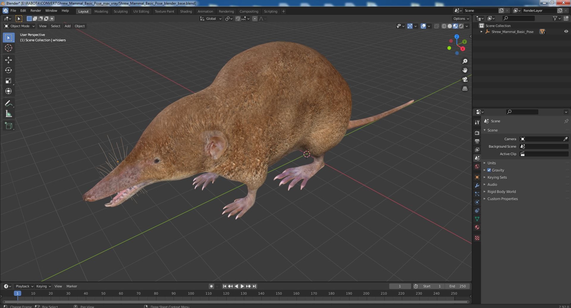 3D Shrew Mammal Basic Pose Model - TurboSquid 2164587