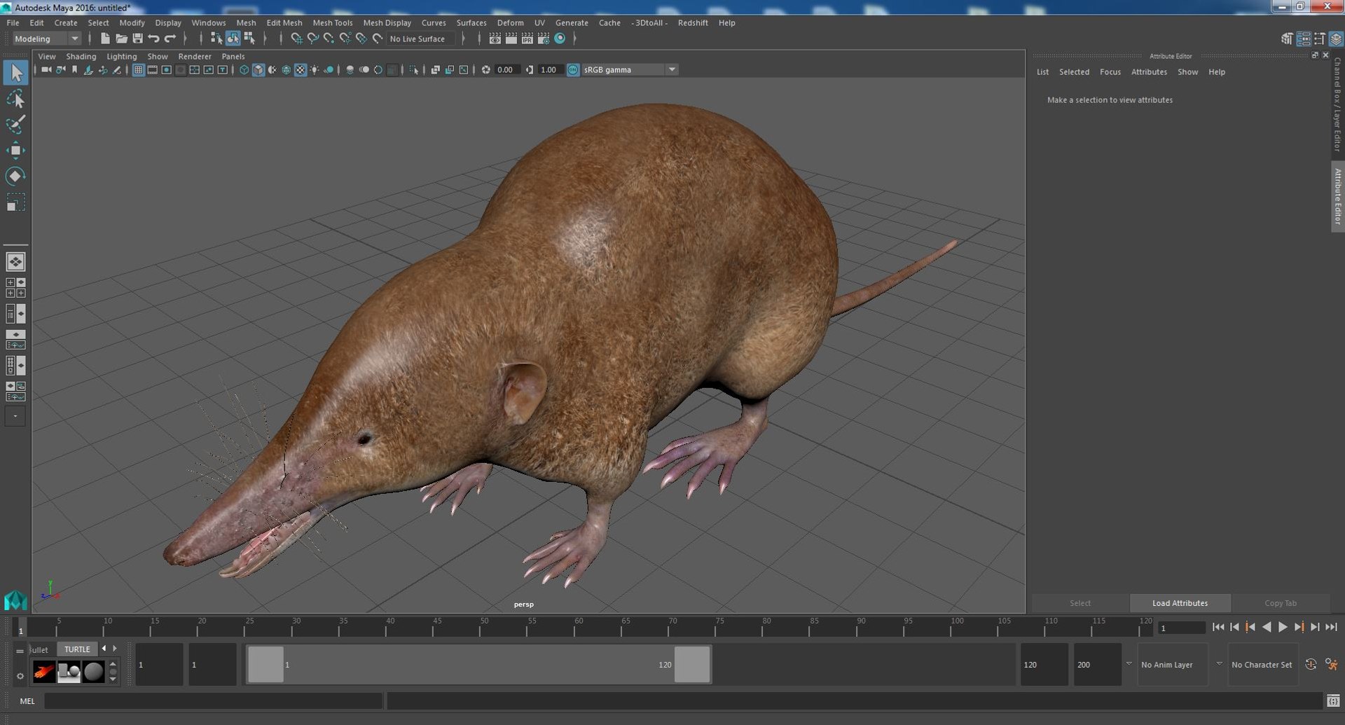 3D Shrew Mammal Basic Pose model - TurboSquid 2164587