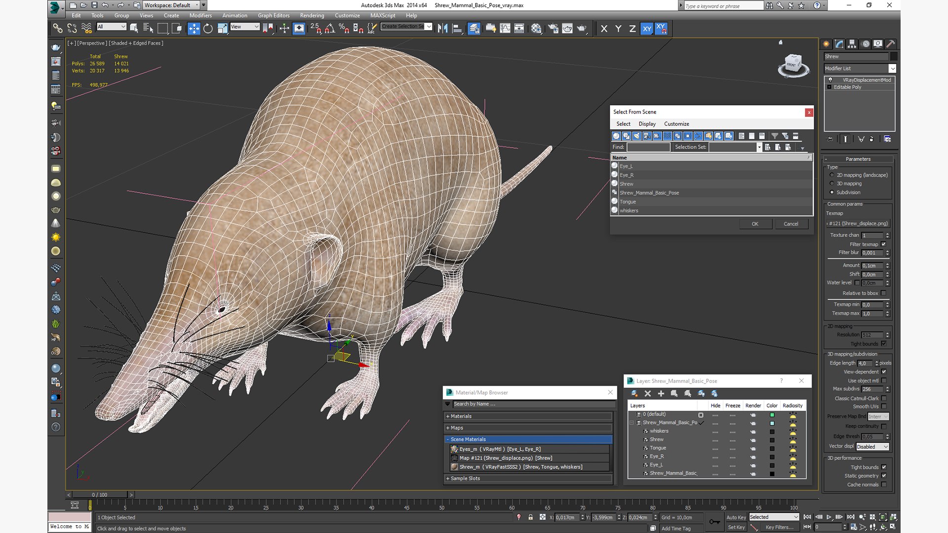 3D Shrew Mammal Basic Pose Model - TurboSquid 2164587