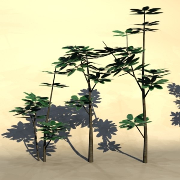 3d tropic trees