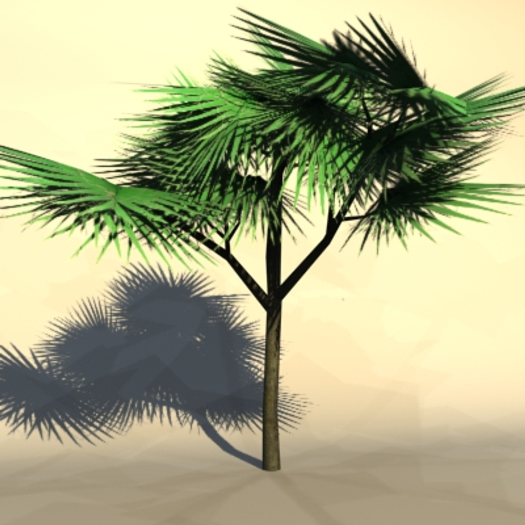 3d tropic trees