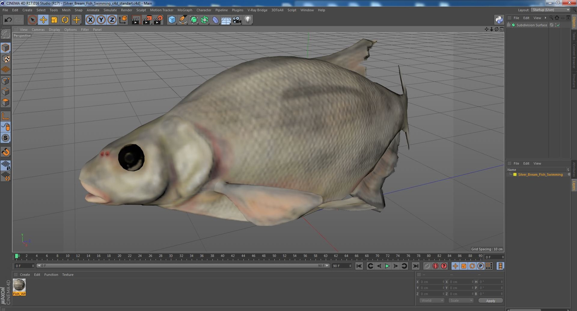 Silver Bream Fish Swimming 3D model - TurboSquid 2155763