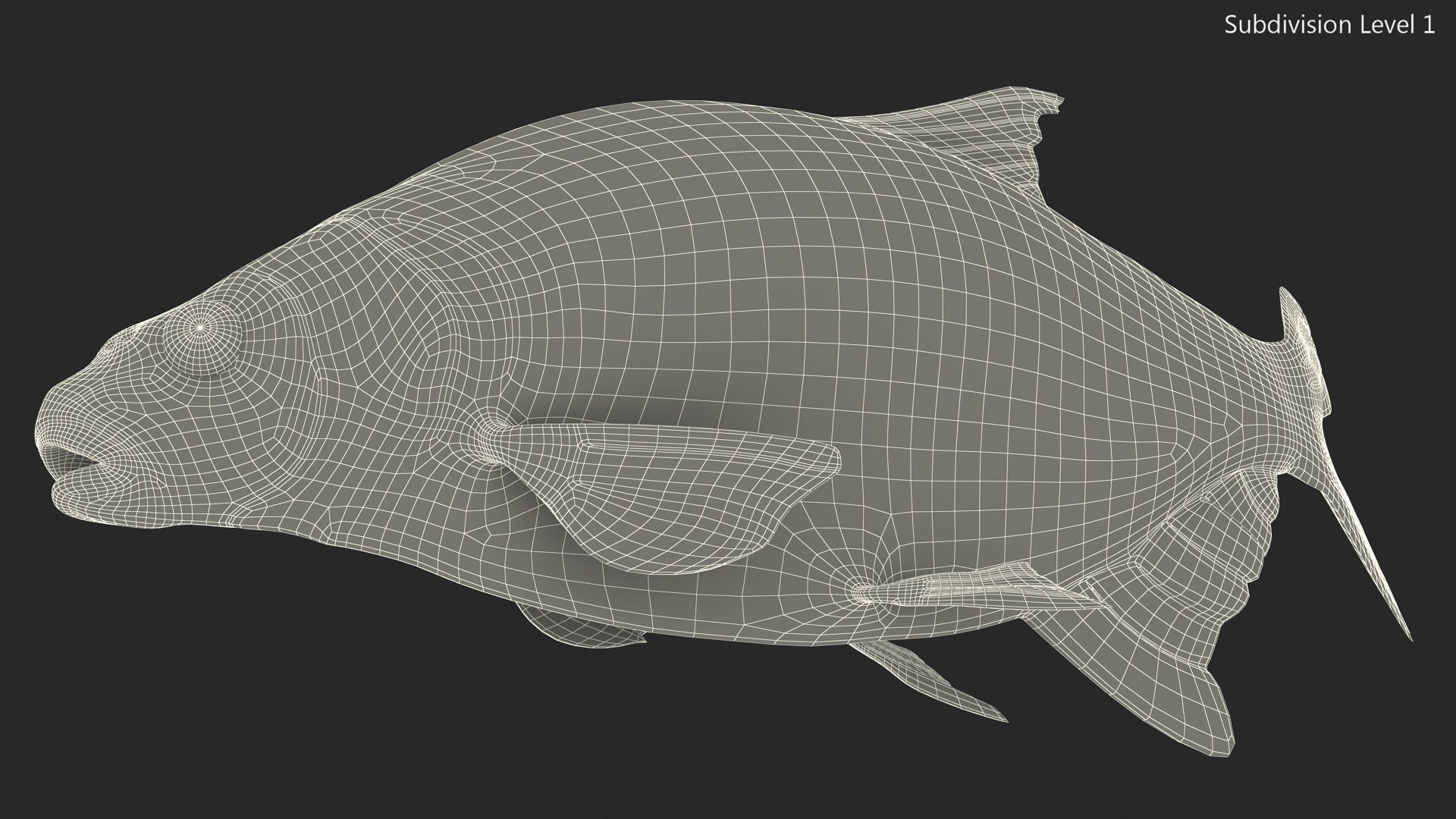 Silver Bream Fish Swimming 3D Model - TurboSquid 2155763