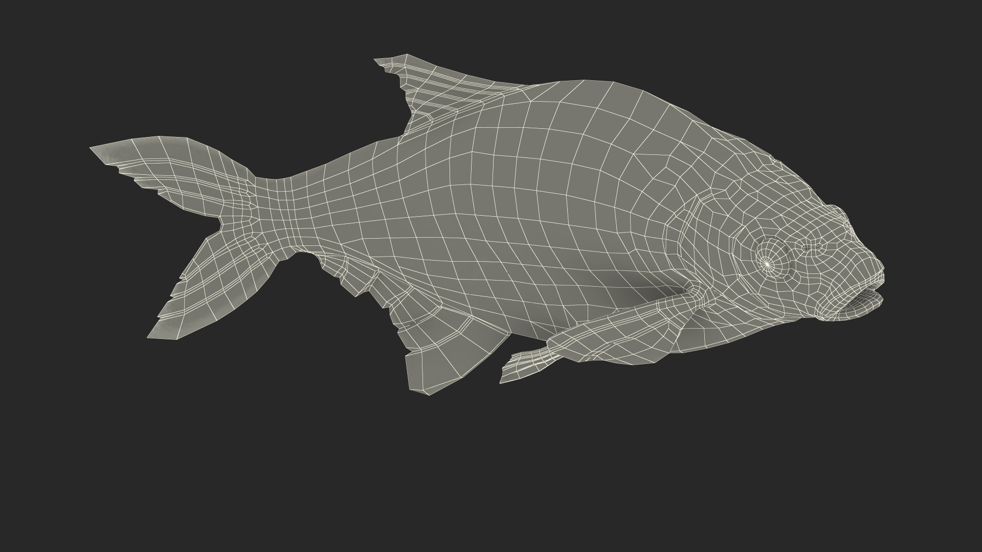Silver Bream Fish Swimming 3D Model - TurboSquid 2155763