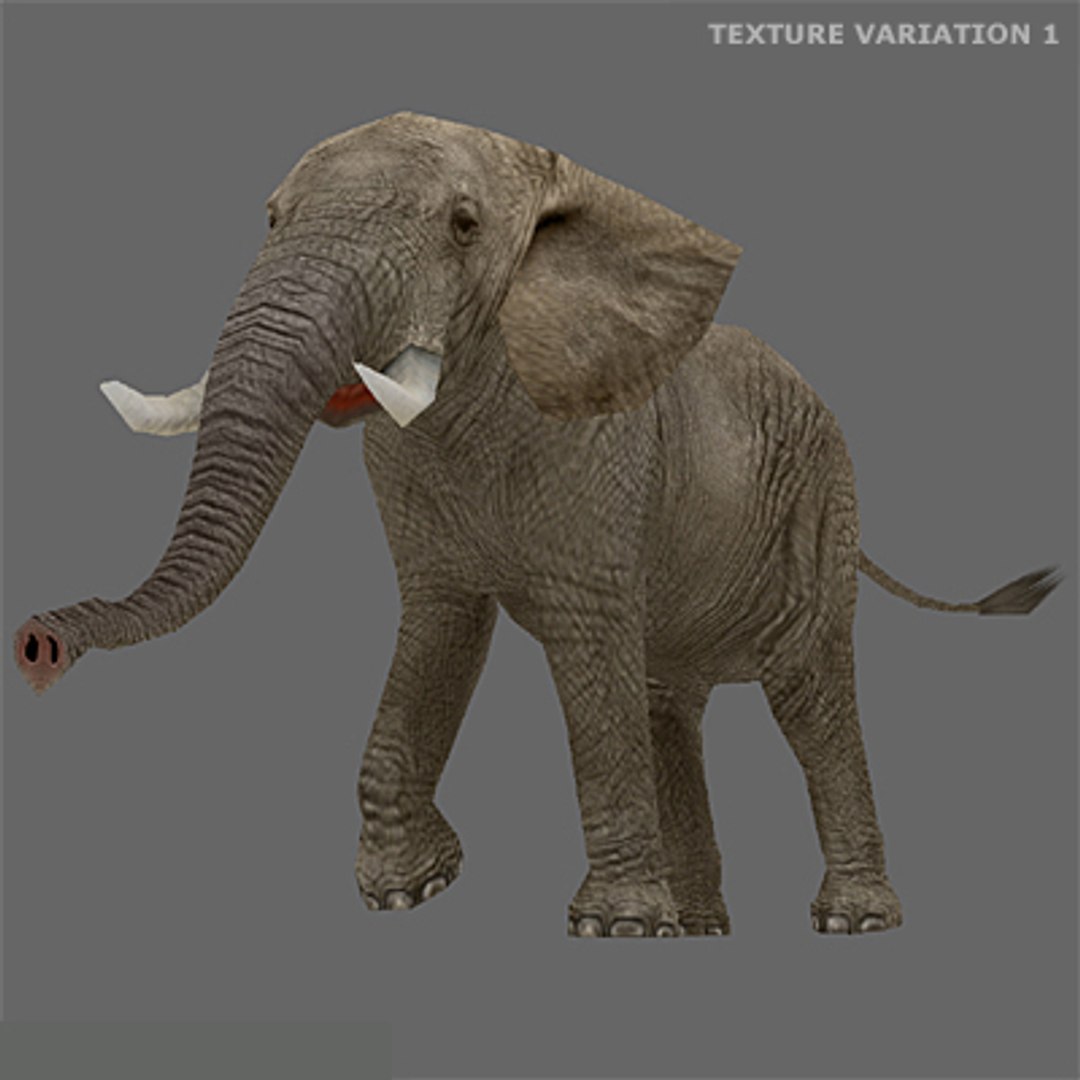 3d Elephant 01