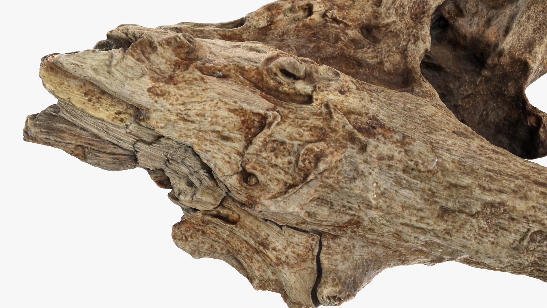 3D Tree Trunk Piece 11 - TurboSquid 2504774
