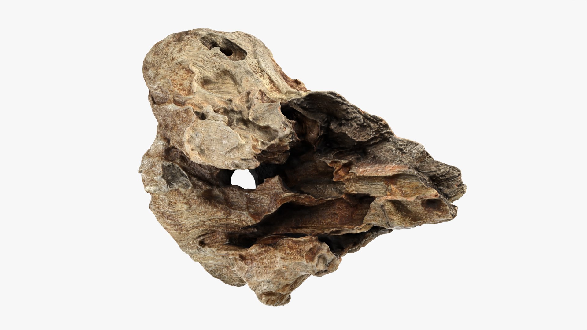 3D Tree Trunk Piece 11 - TurboSquid 2504774