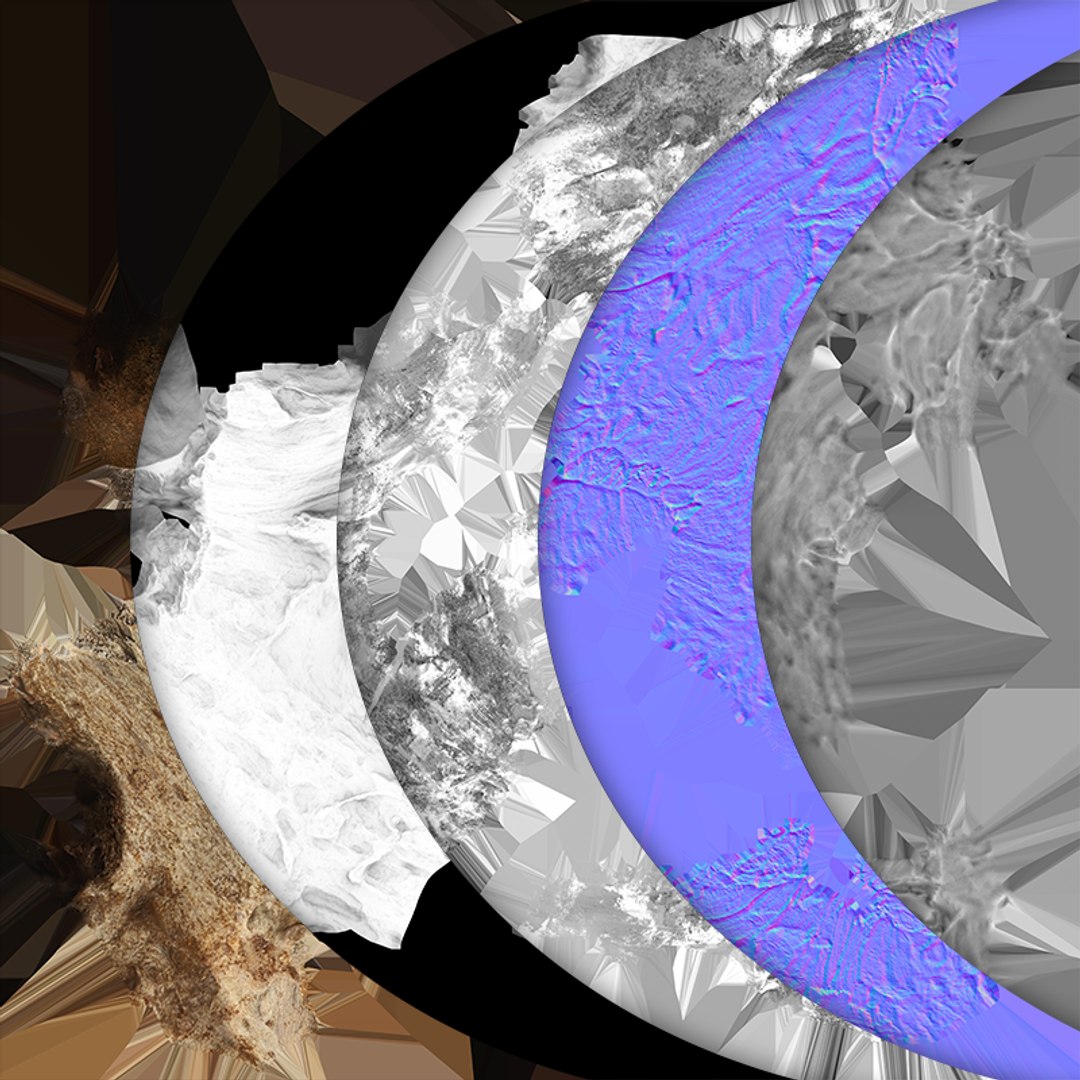 3D Tree Trunk Piece 11 - TurboSquid 2504774