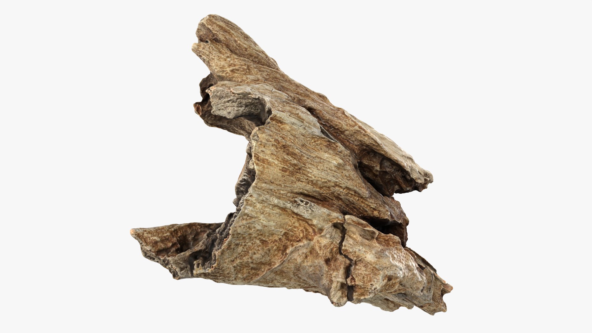 3D Tree Trunk Piece 11 - TurboSquid 2504774
