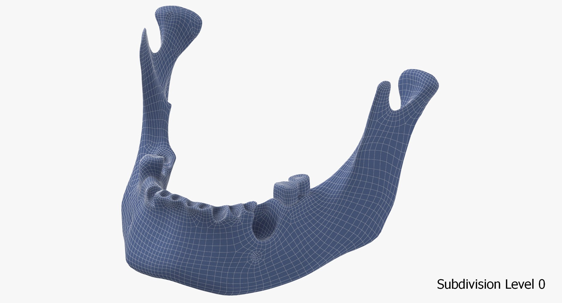 Human jawbone mandible 02 model - TurboSquid 1449373