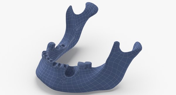 modelo 3d Quijada Humana (Mandíbula) 02 - TurboSquid 1449373