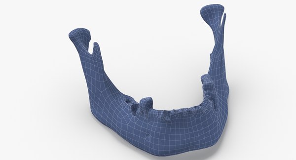 modelo 3d Quijada Humana (Mandíbula) 02 - TurboSquid 1449373