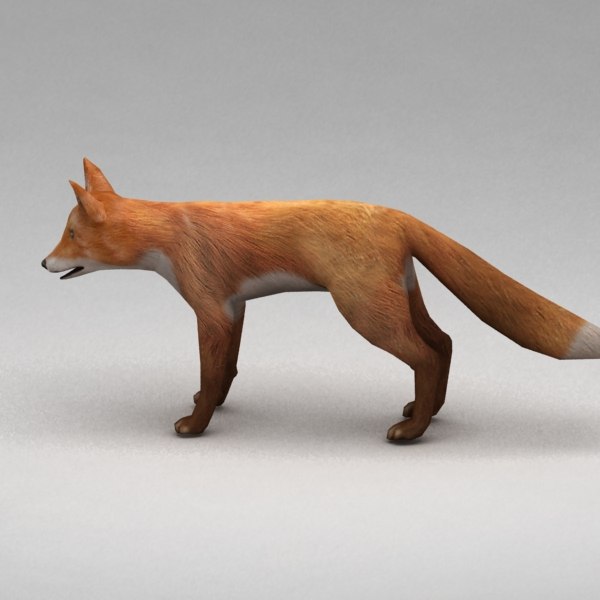 rigged fox animation 3d model