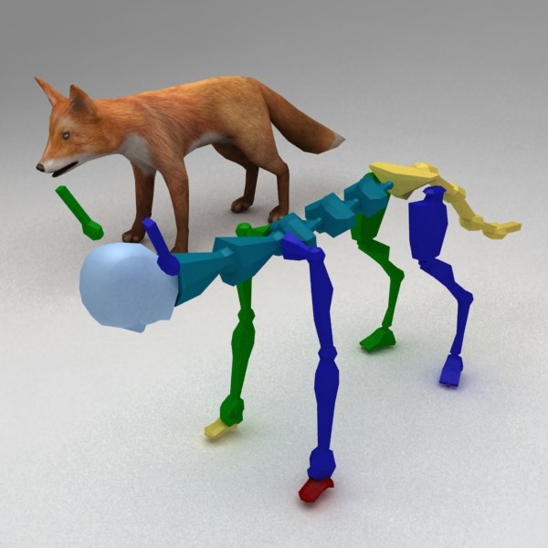 rigged fox animation 3d model