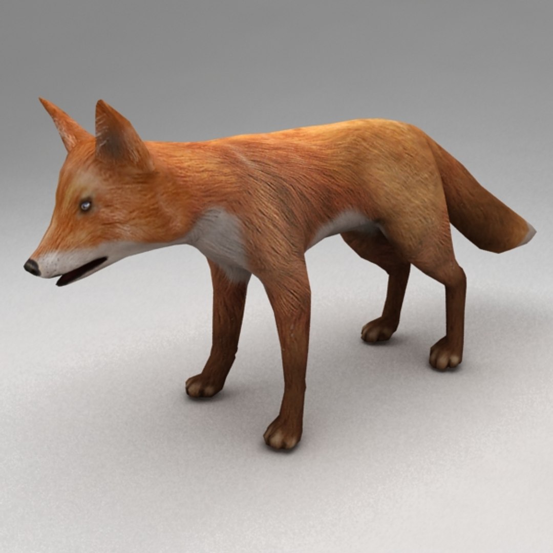 Rigged Fox Animation 3d Model