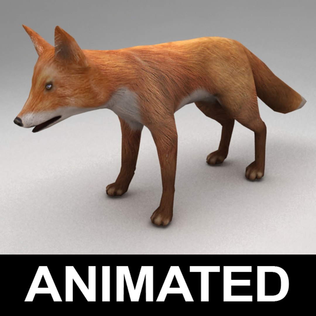 Rigged Fox Animation 3d Model