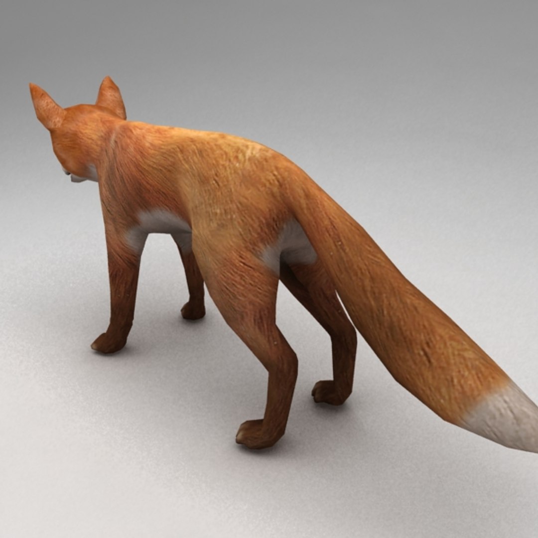 Rigged Fox Animation 3d Model