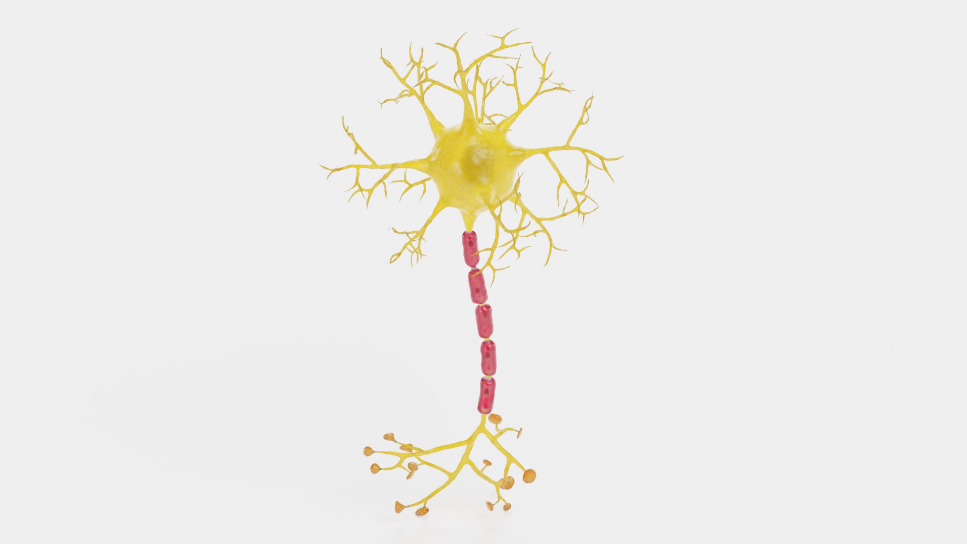 3D Neuron 2 - TurboSquid 1770163