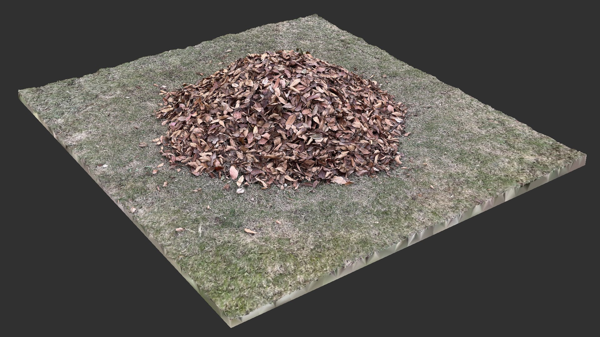 3D Leaves On The Ground 3d Scan Model - TurboSquid 2000186