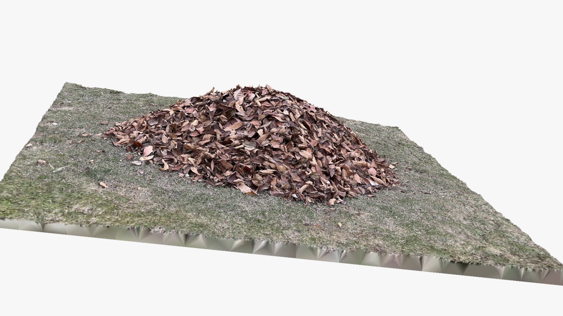 3D Leaves On The Ground 3d Scan Model - TurboSquid 2000186