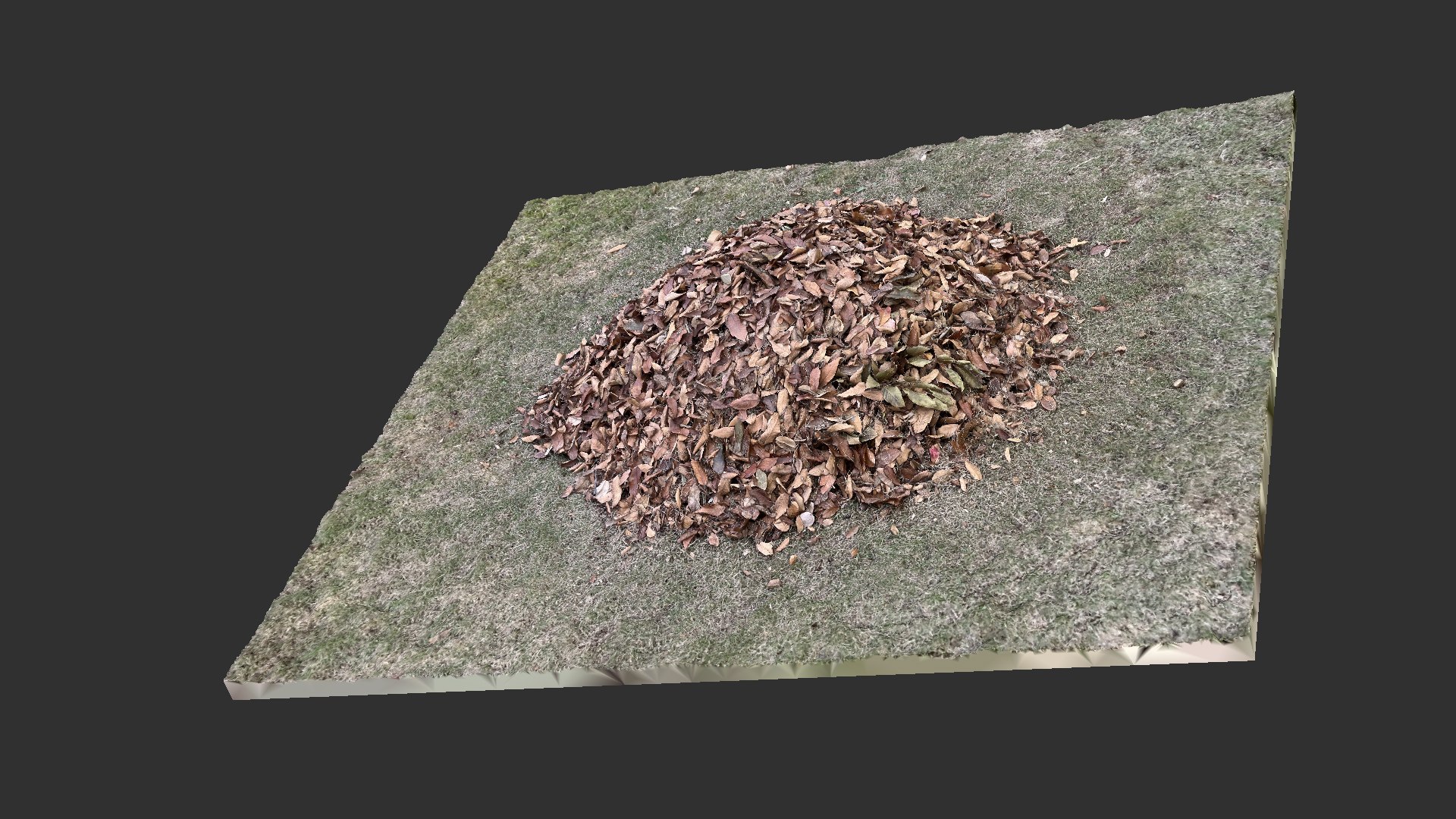 3D Leaves On The Ground 3d Scan Model - TurboSquid 2000186