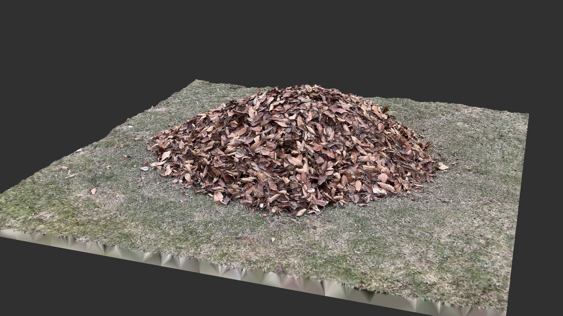 3D Leaves On The Ground 3d Scan Model - TurboSquid 2000186
