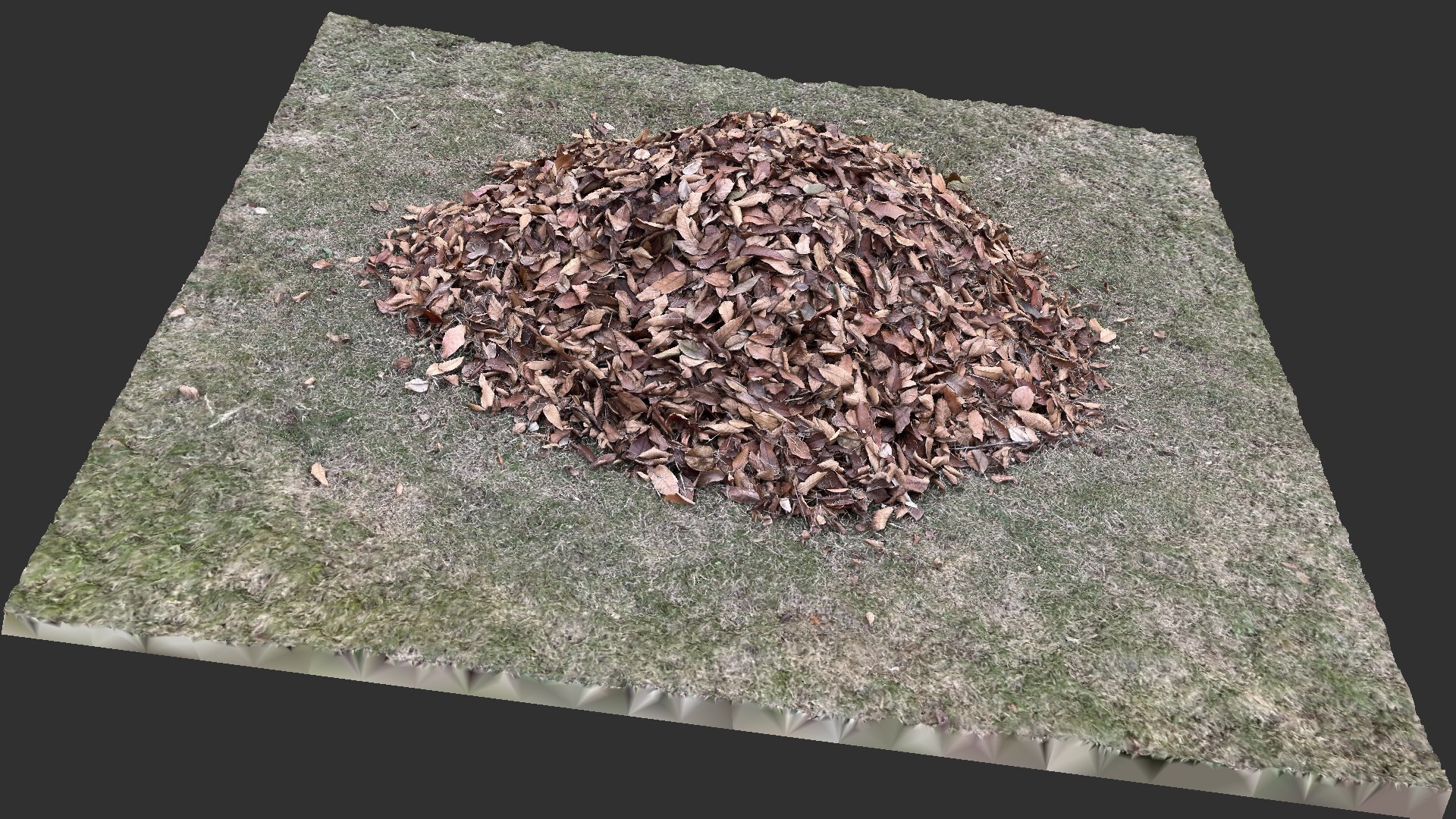 3D Leaves On The Ground 3d Scan Model - TurboSquid 2000186