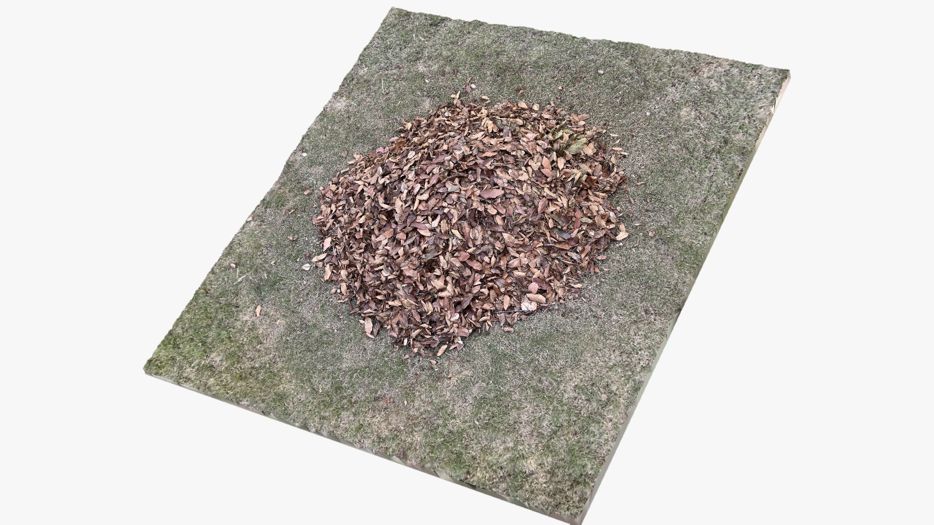 3D Leaves On The Ground 3d Scan Model - TurboSquid 2000186