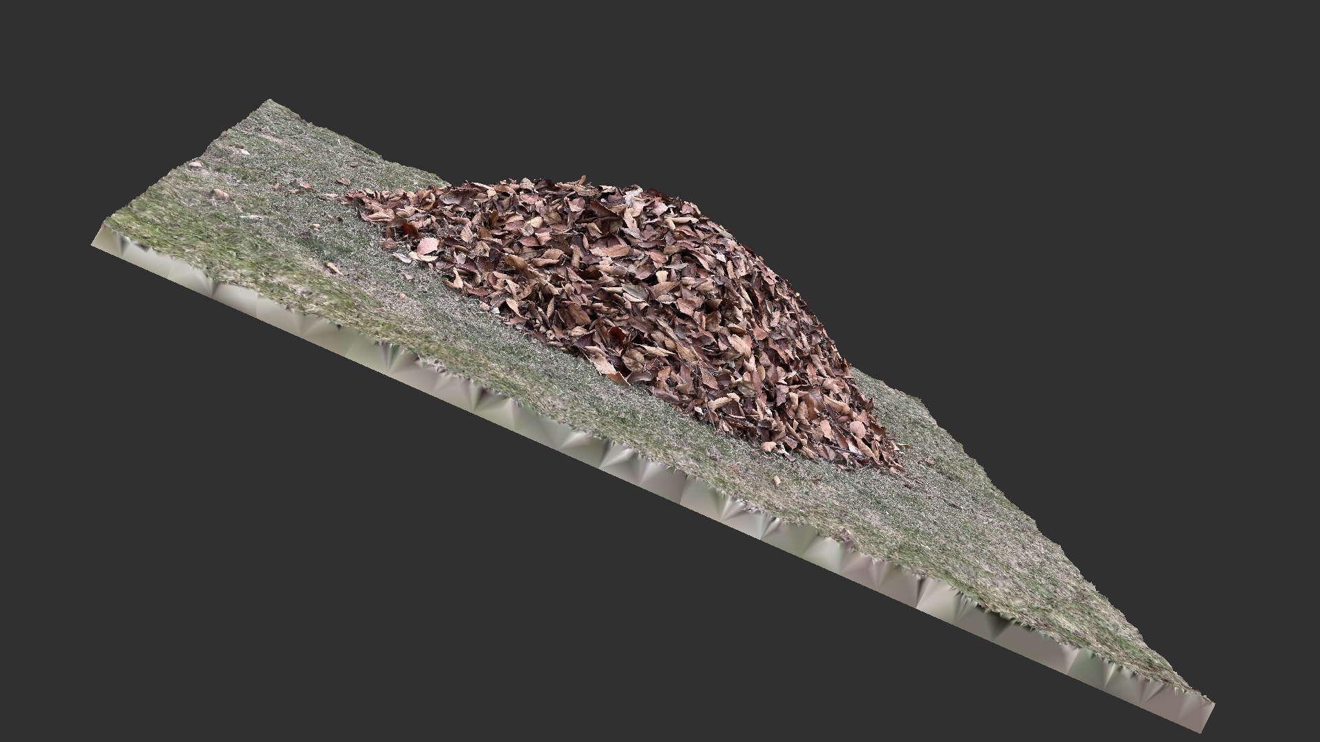 3D Leaves On The Ground 3d Scan Model - TurboSquid 2000186