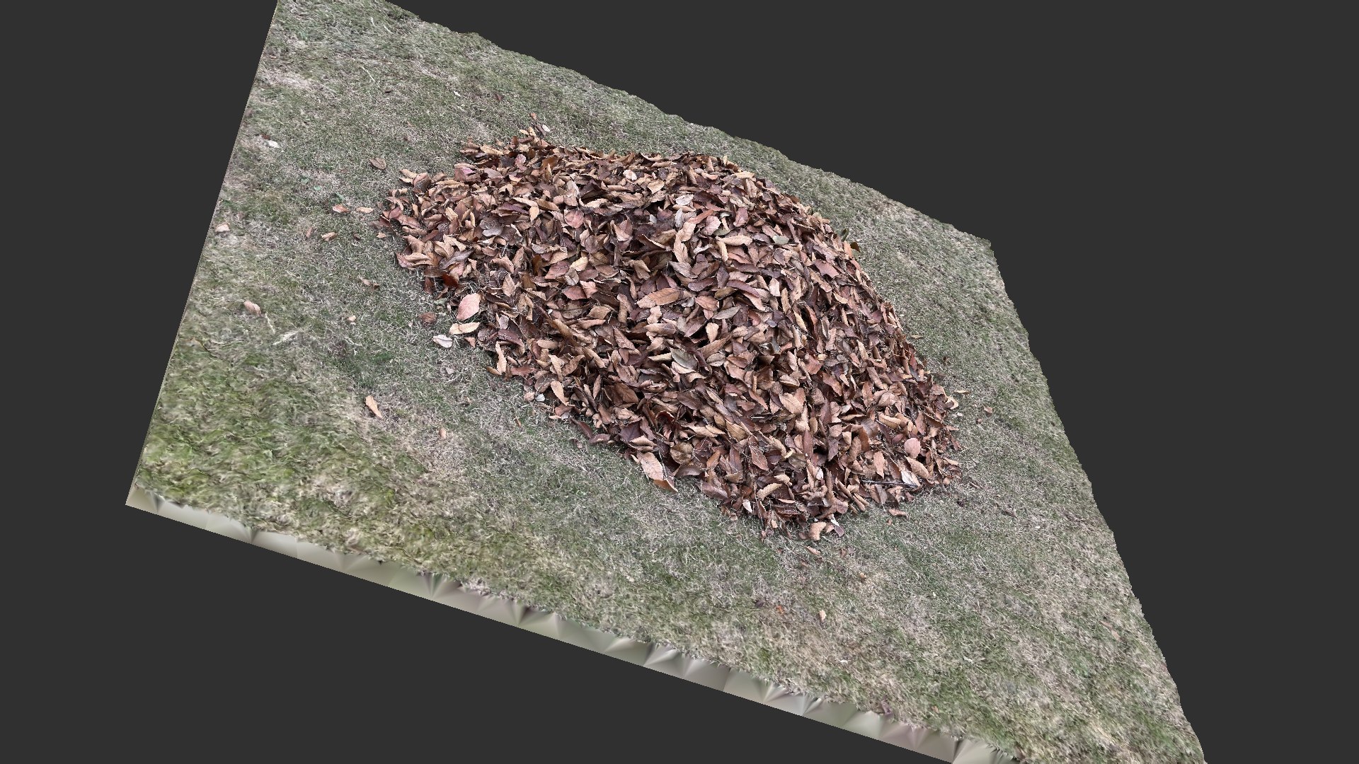 3D Leaves On The Ground 3d Scan Model - TurboSquid 2000186