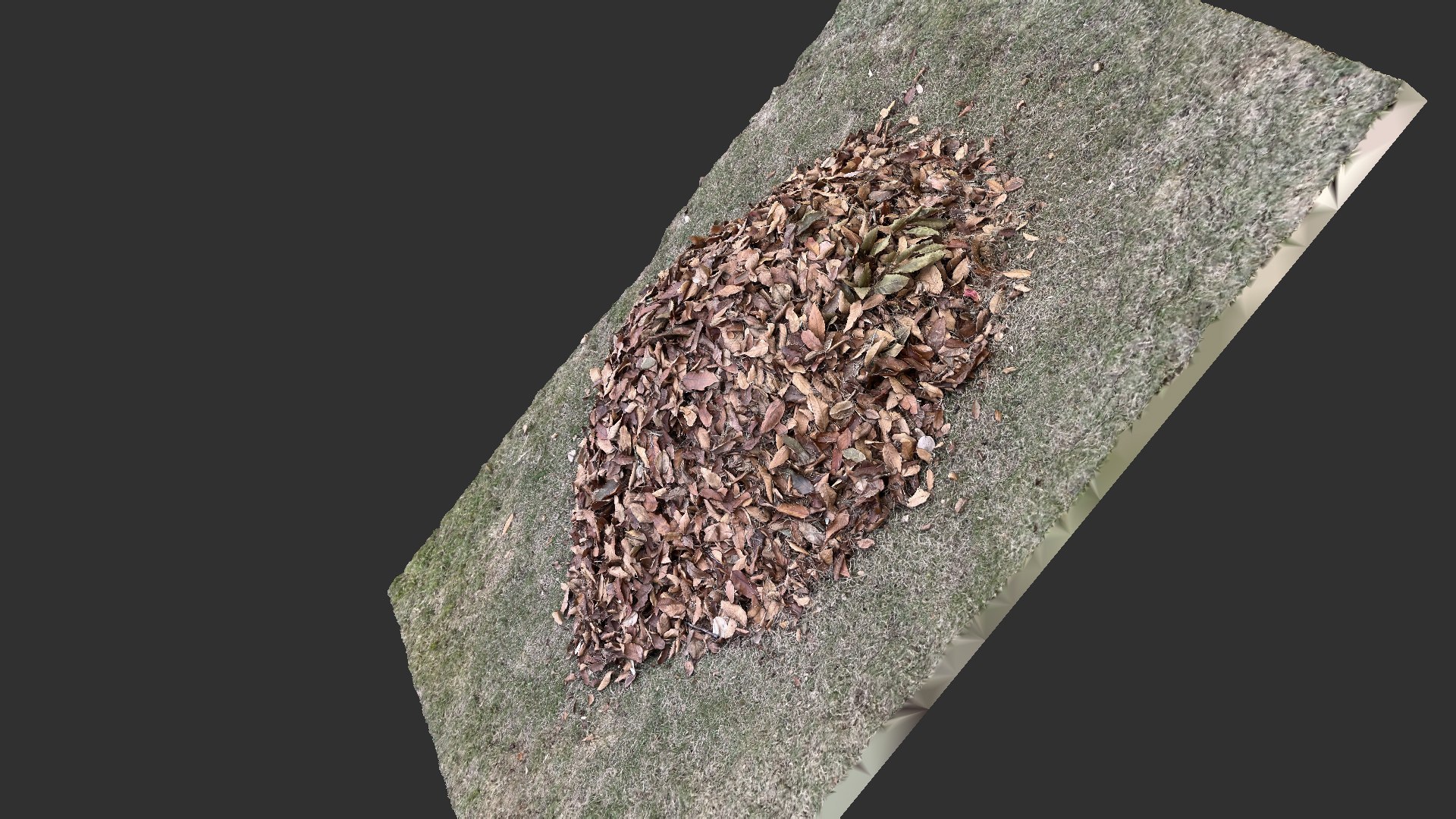 3D Leaves On The Ground 3d Scan Model - TurboSquid 2000186
