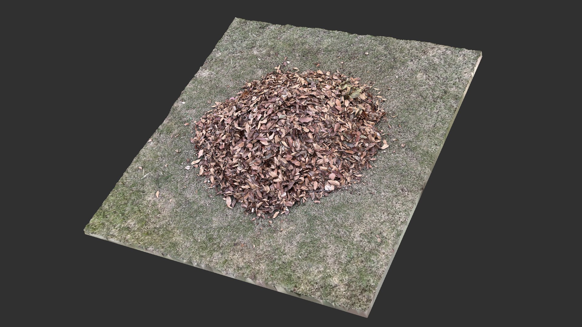 3D Leaves On The Ground 3d Scan Model - TurboSquid 2000186