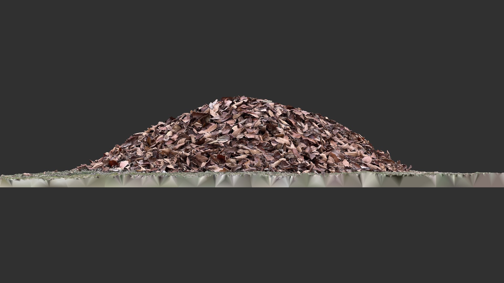 3D Leaves On The Ground 3d Scan Model - TurboSquid 2000186
