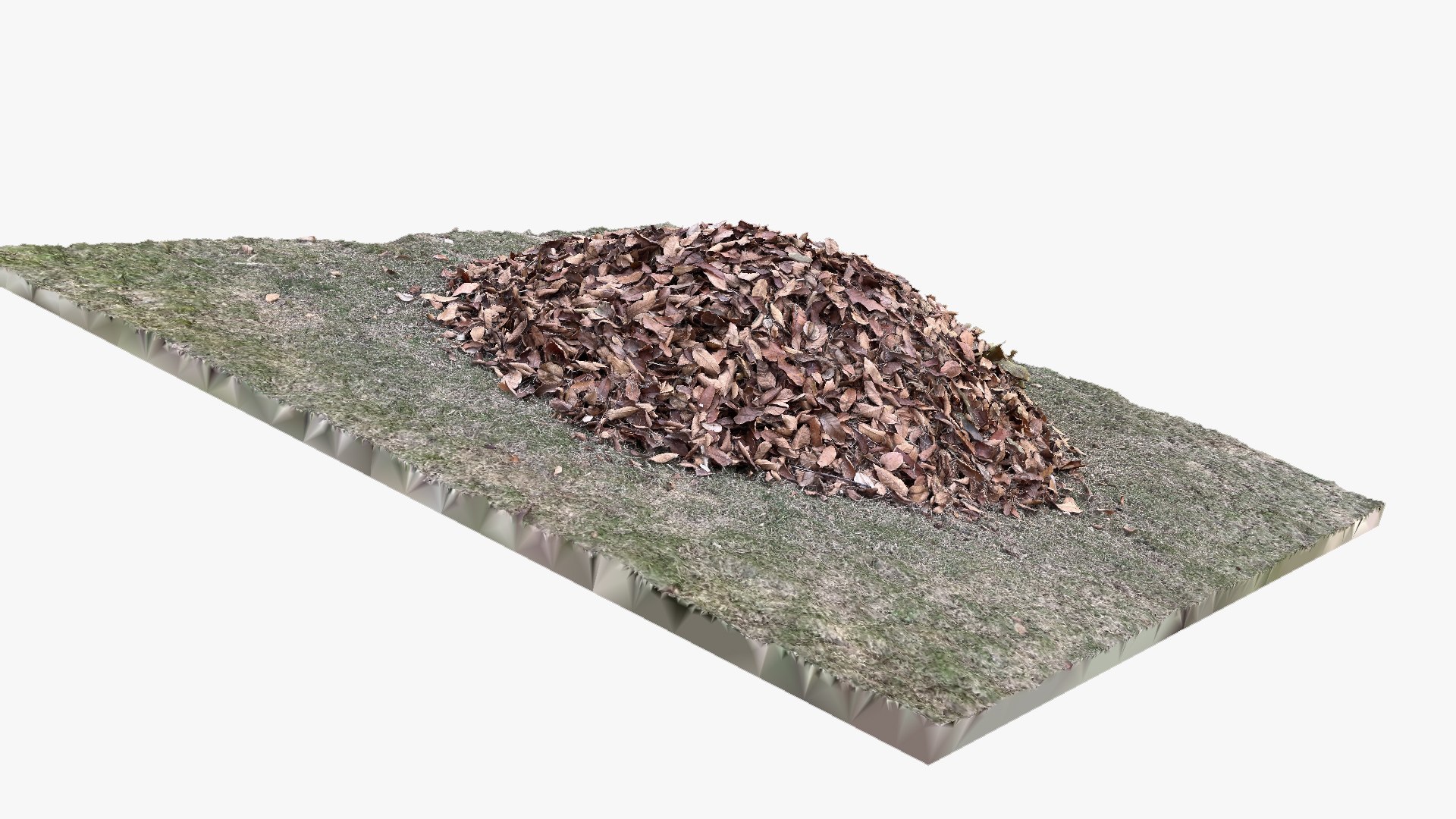 3D Leaves On The Ground 3d Scan Model - TurboSquid 2000186