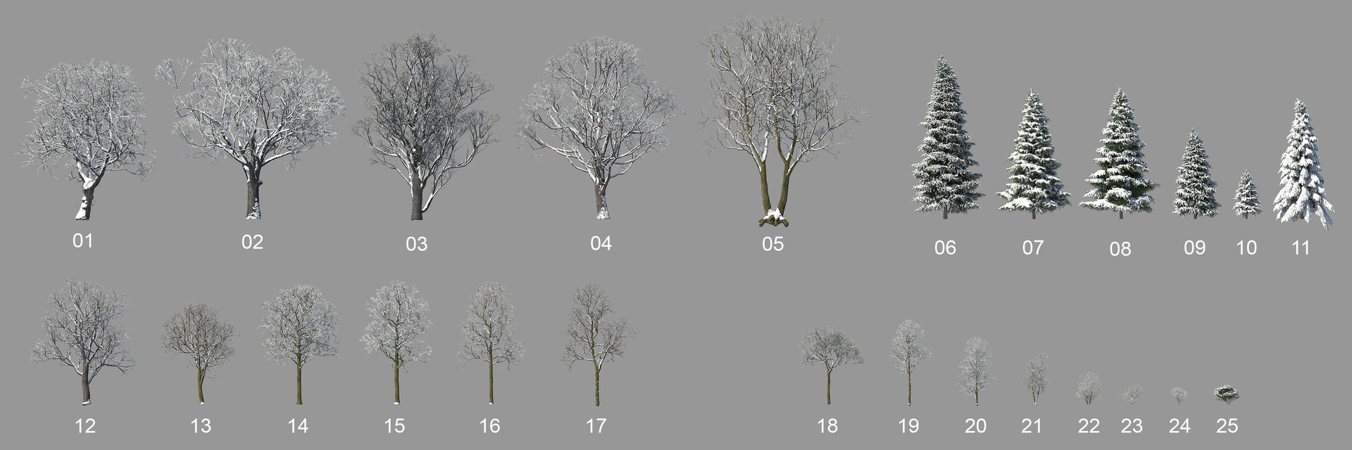 3d Winter Trees Model