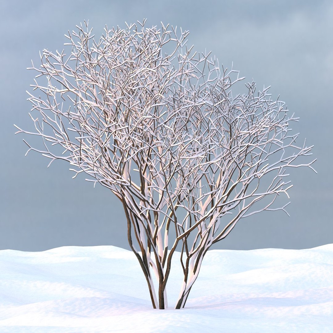 3d winter trees model