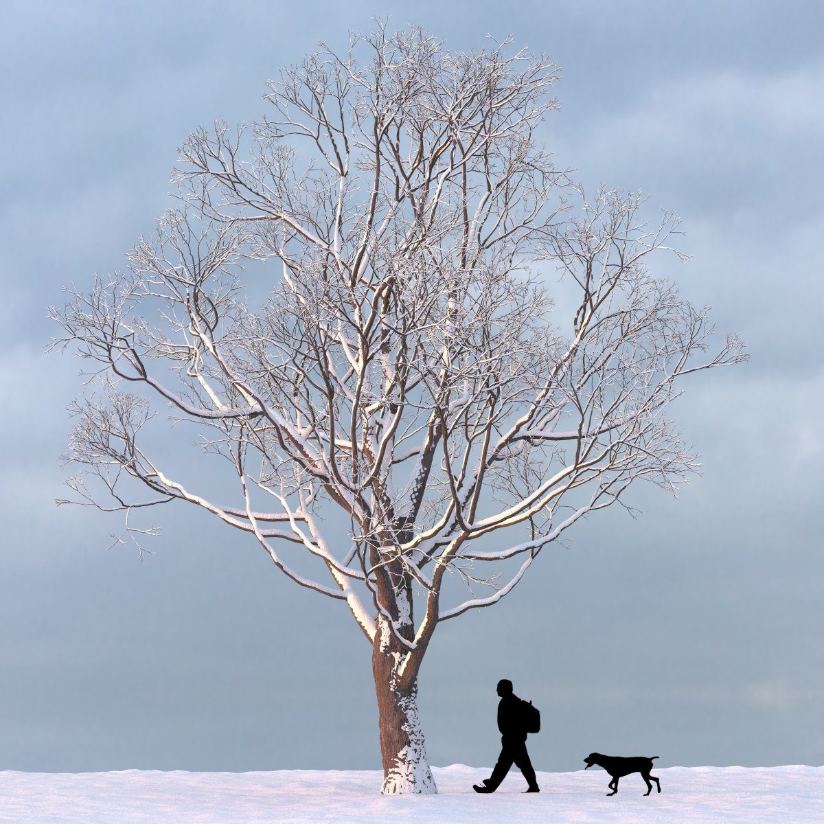 3d winter trees model