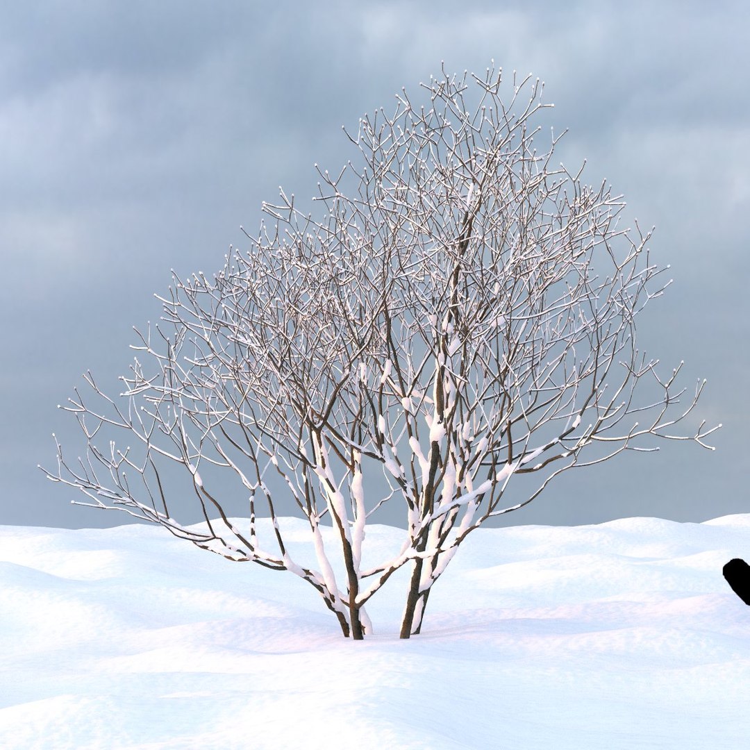 3d winter trees model